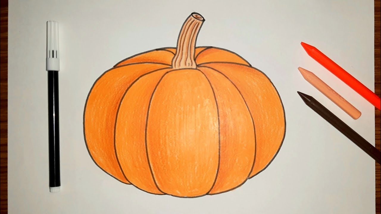 Pumpkin drawing step by step | কীভাবে কুমড়ো আঁকব | Kaddu drawing easy ...