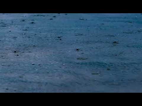 Yağmurlu Ormanda Uyku 🌧️ Hikayeli ASMR | Doğa Sesleri & Fısıltı