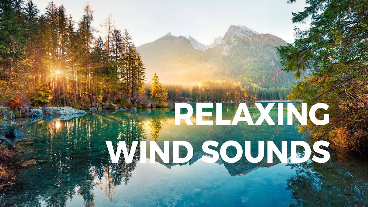 Relaxing wind Sounds for Sleeping and Studying Background, Nature ...
