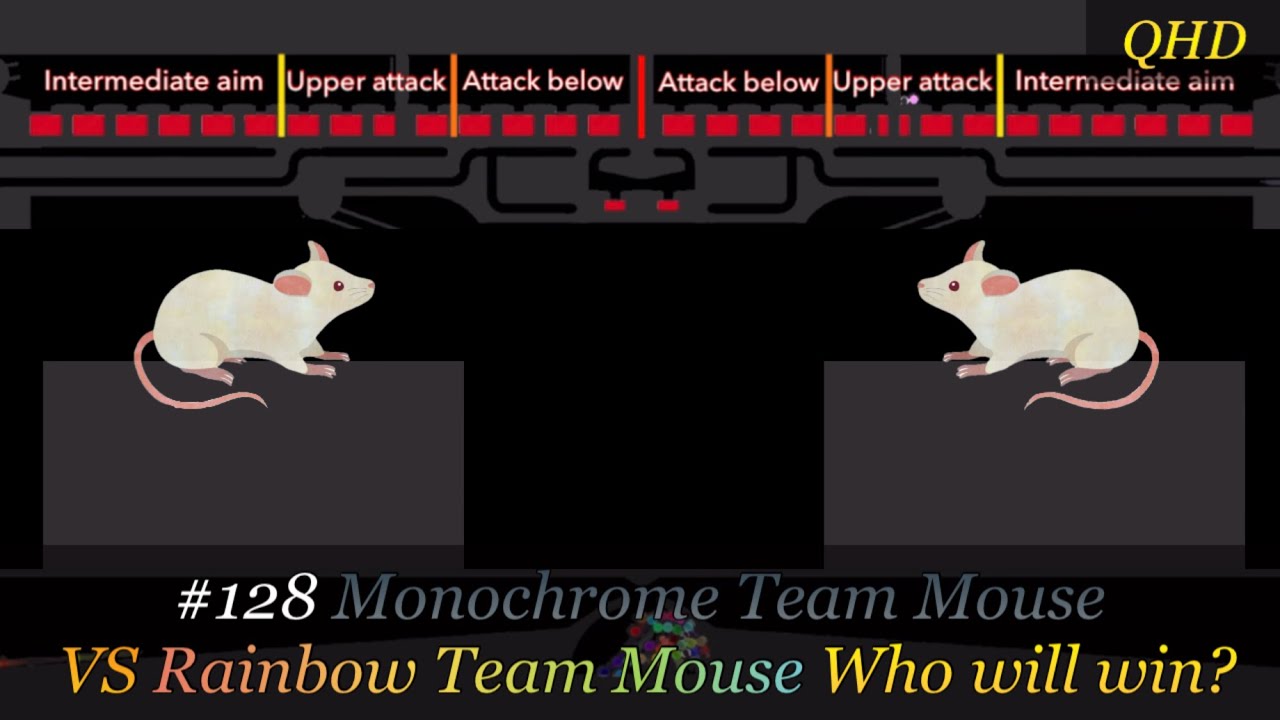 #128 Monochrome Team Mouse VS Rainbow Team Mouse │ Who will win? - YouTube