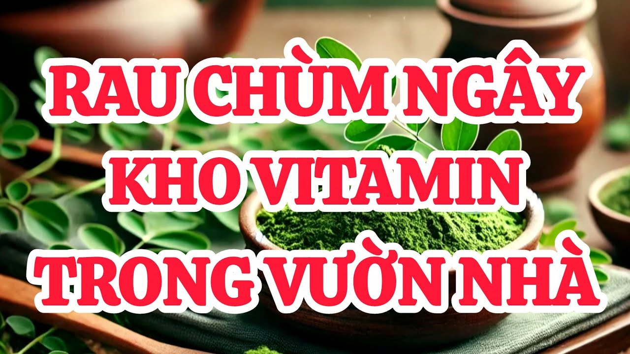 🌱 RAU CHÙM NGÂY, KHO VITAMIN QUÝ TRONG VƯỜN NHÀ ♻️ Mẹo dân gian - YouTube