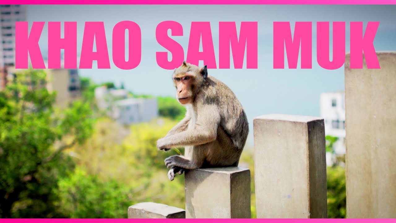 Monkeys, Legends, and Views at Khao Sam Muk | Chonburi, Thailand Travel ...