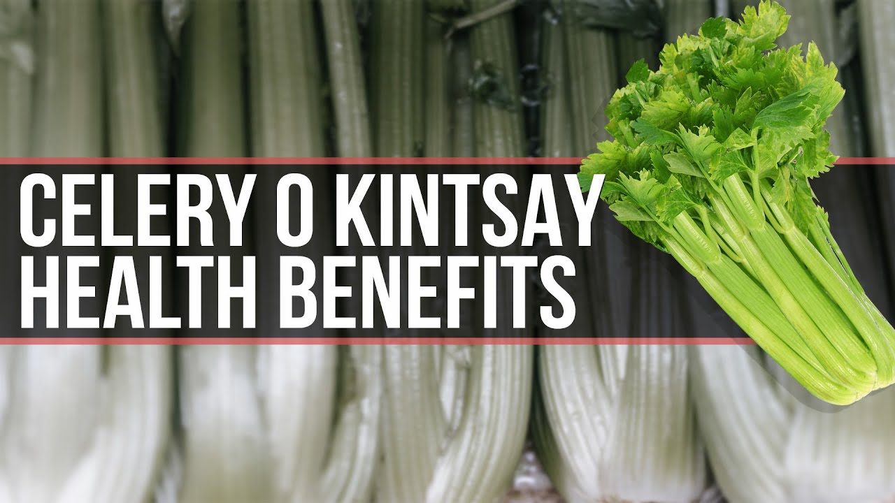 Kintsay (Celery) Mga Benepisyo sa Kalusugan - YouTube
