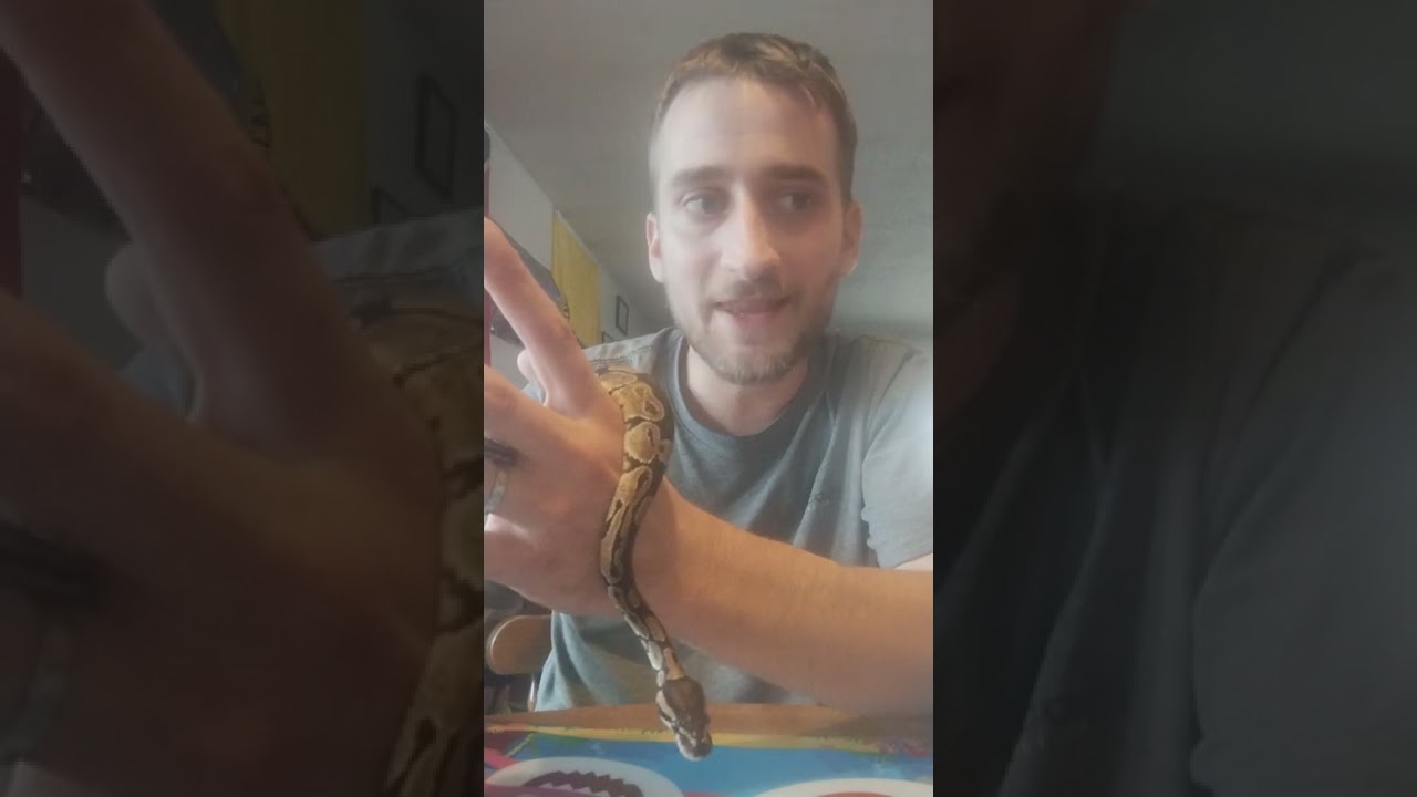 How tell signs of broken and/or fractured ribs on Snake and some Quick ...