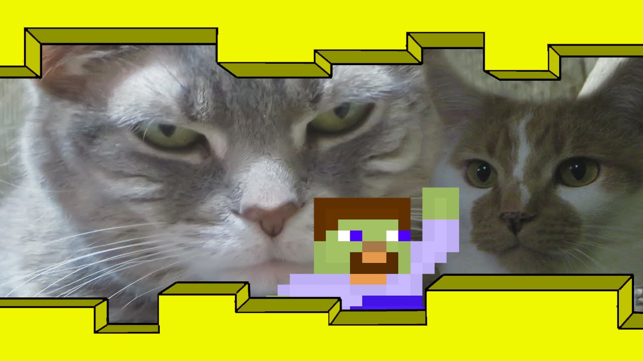 Cats Play Minecraft - YouTube