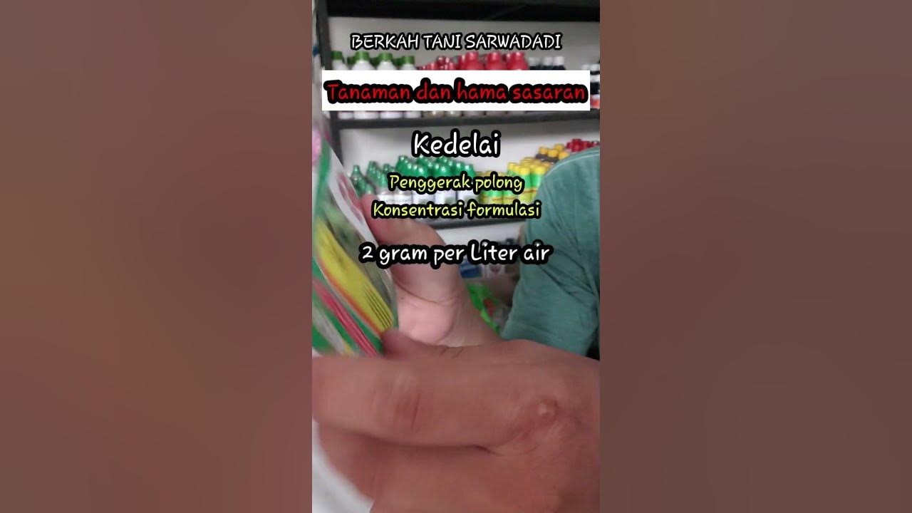 Insektisida ERUGA 50SP obat hama tanaman kedelai, ERUGA VS DANGKE #insektisida #wereng # ...