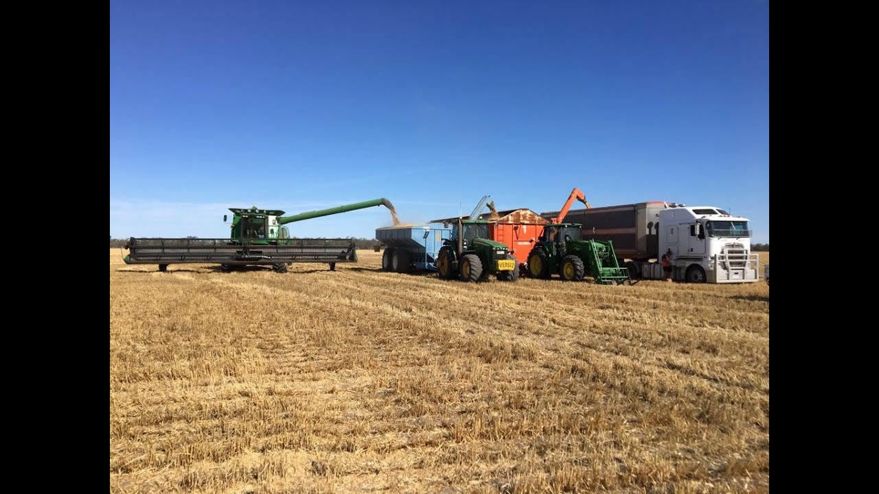 Episode 7 Grain Harvest Assist Harvesting Wheat - YouTube