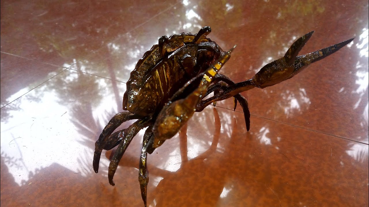 Coconut shell craft.crab - YouTube