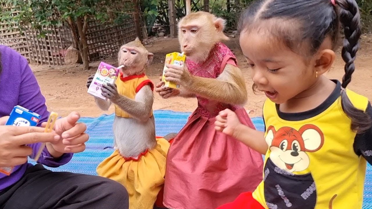 Shally And YaYa Joining Milk To Theany Happily - YouTube