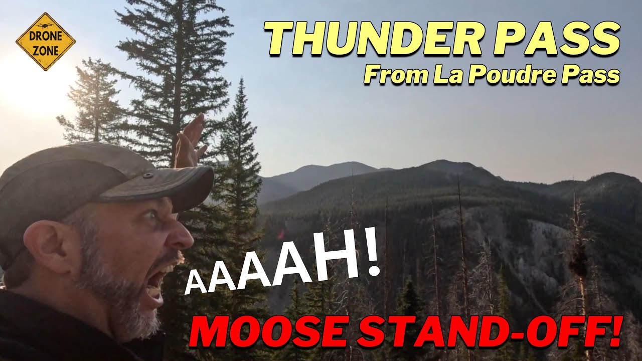 Dodging Moose! Hiking Thunder Pass [Rocky Mountain National Park ...