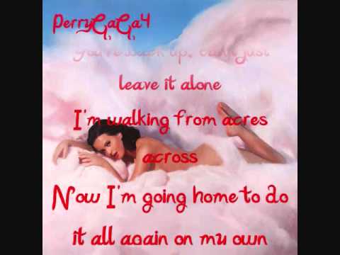 Damn (Katy Perry's Unedited Song With Lyrics In Screen) - Katy Perry ...