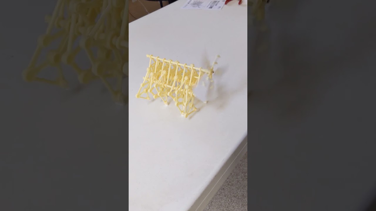 Pet Strandbeest - YouTube