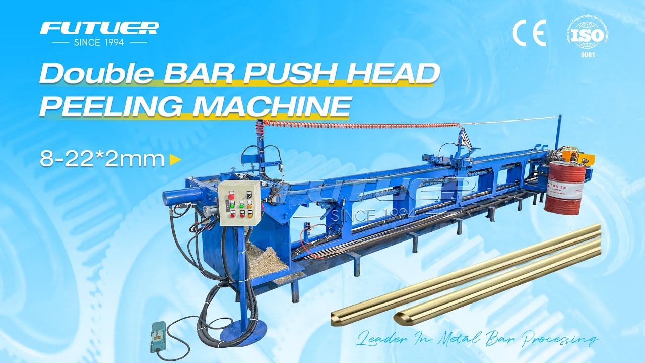 20mm Double bar polishing machine,Greatly improved efficiency! Do you ...