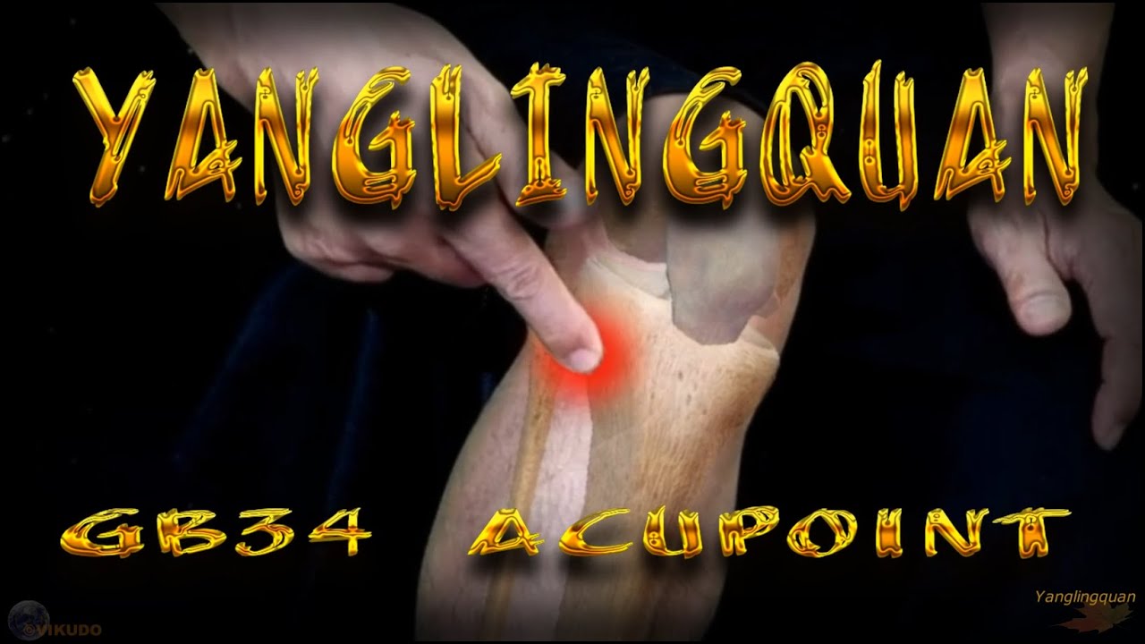 GB34 | Yanglingquan Acupoint | Gallbladder Meridian | Acupressure ...