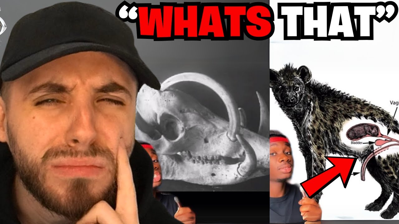 Animals That Got The Middle Finger From Evolution - YouTube