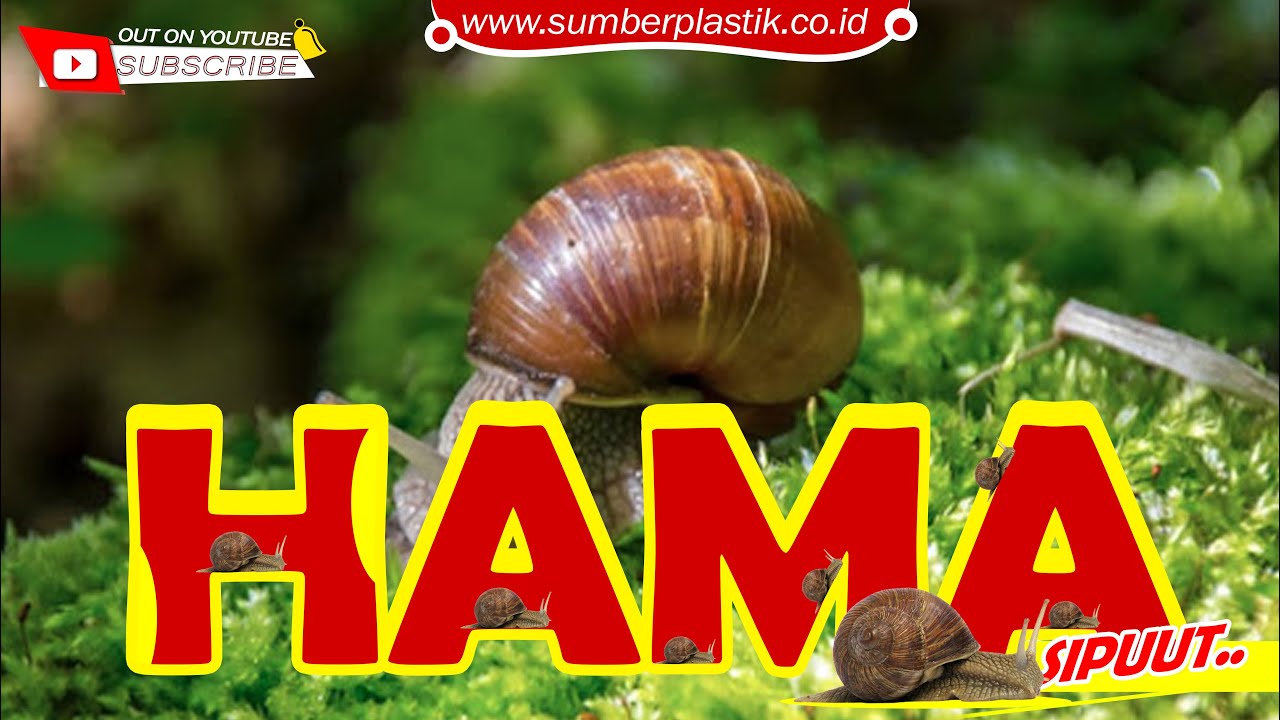 HAMA SIPUT | sumberplastik.co.id - YouTube