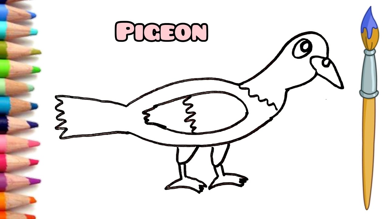 How To Draw A Standing Birds For Kids🌈🥑🍈 - YouTube