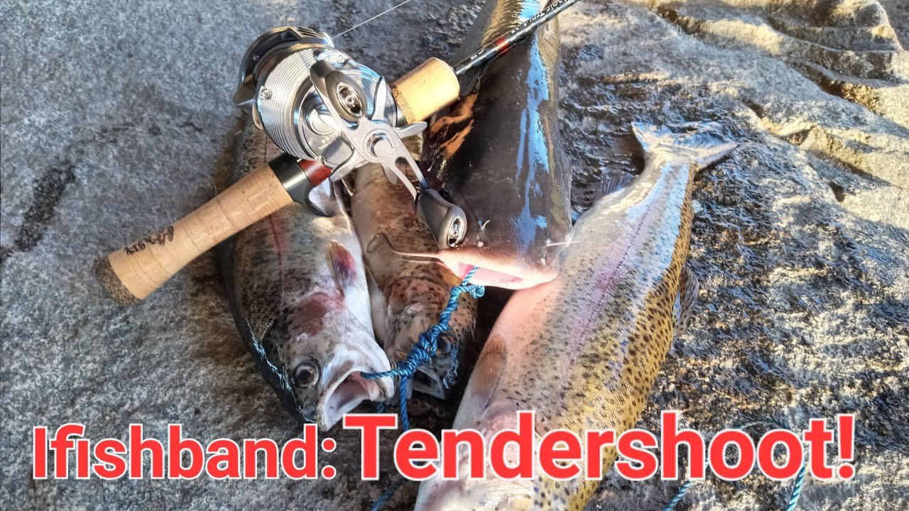 Santee Lakes Bfs Trout fishing: Ifishband Tendershoot= Drop Shotting ...