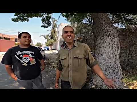Video borrado Del burrito @Rey De Las bromas*VIDEOS BORRADOS DE BURRO