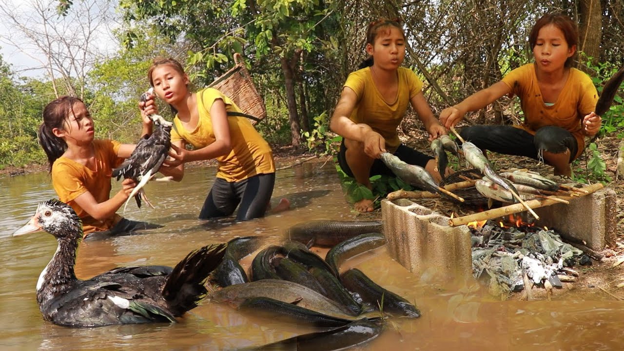 Catch duck and many fish in rainforest for food- Grilled fish & Bound ...