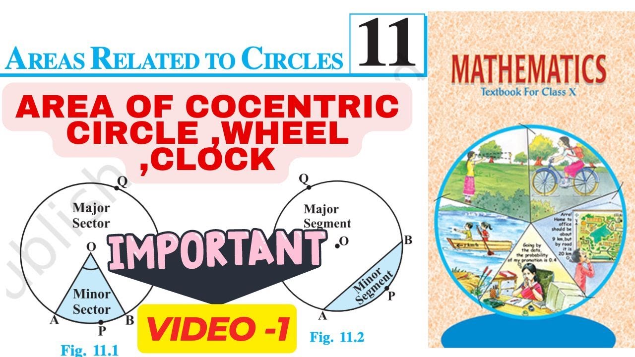 class 10 chapter 11 Math |area related to circle |exercise 11.1 ,11.2 ...