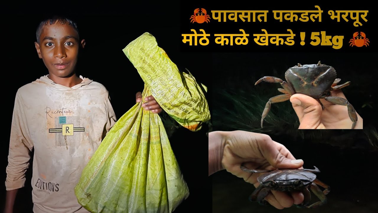 रात्री पकडले भले मोठे काळे खेकडे ! Crab catching ! Kekda chimbori ...
