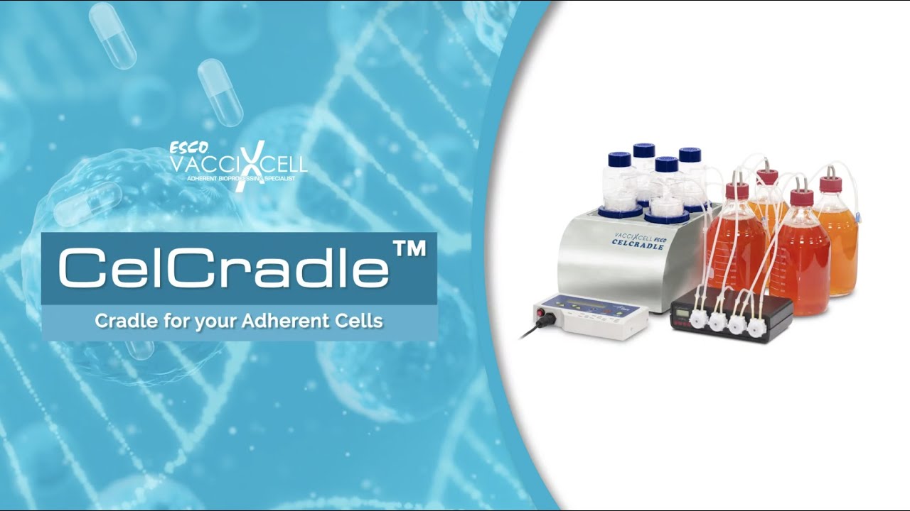 CelCradle™ Benchtop Bioreactor | Quick Features | Esco VacciXcell - YouTube