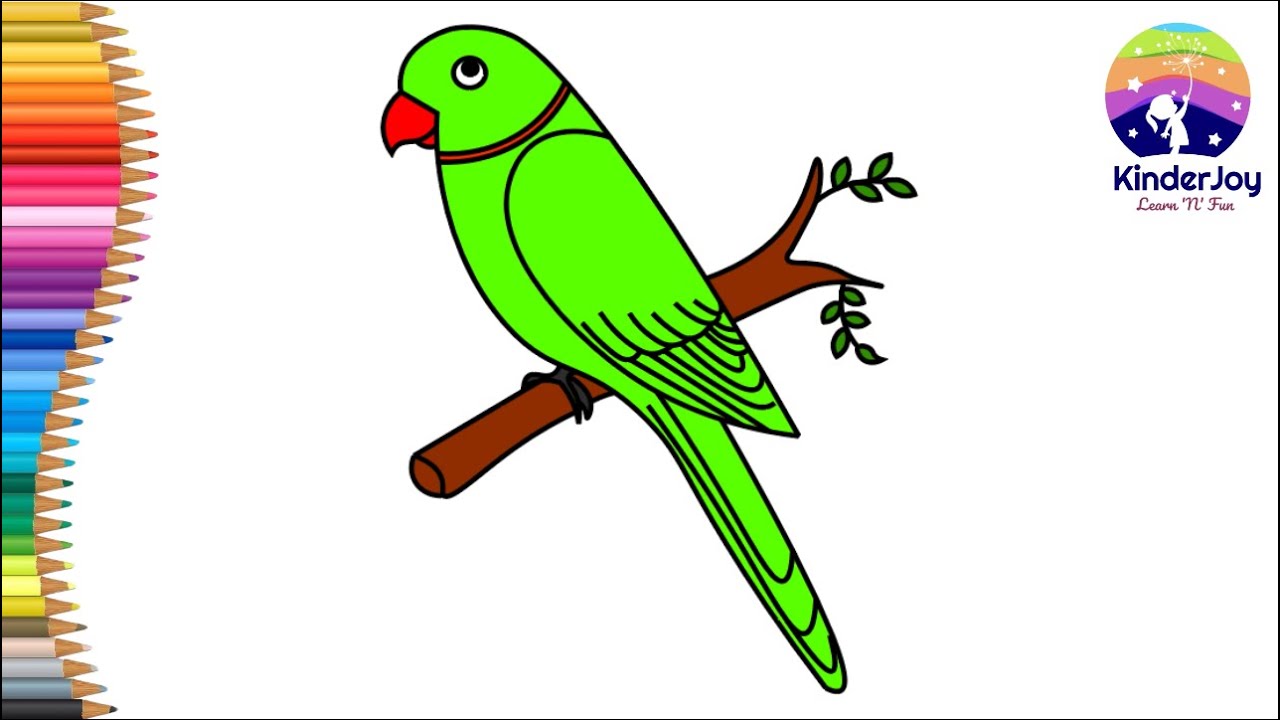 How to draw a Parrot for kids| Easy drawing |Step by step |# ...