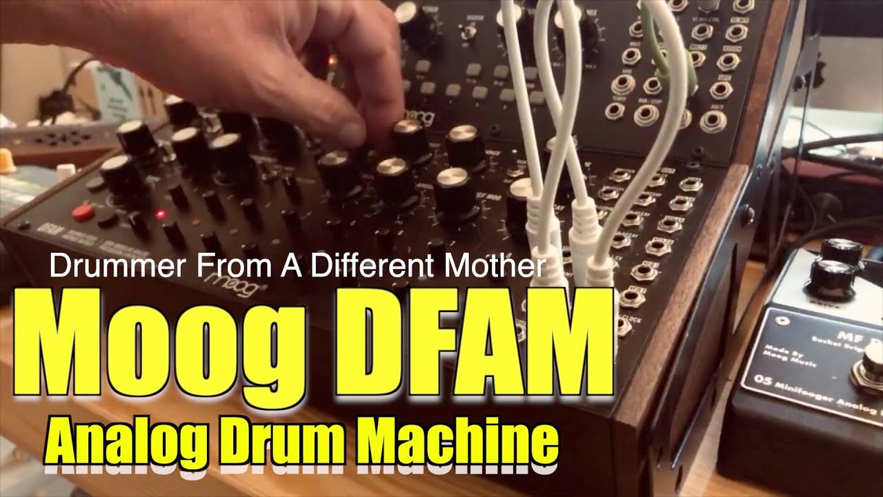 Moog DFAM Analaog Drum Patch and Improvisation Sequence and Rhythm Pattern - YouTube