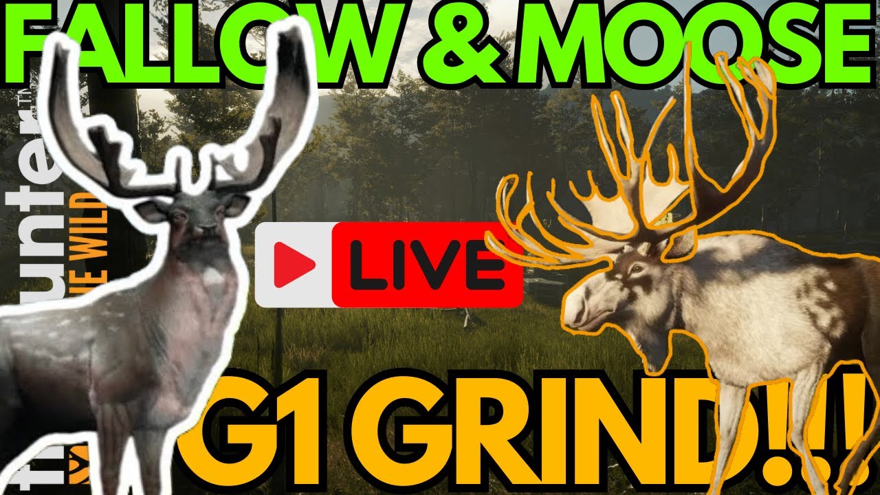 LETS SETUP FOR MOOSE & GRIND FOR FALLOW!!! - Call of the Wild (Live) - YouTube