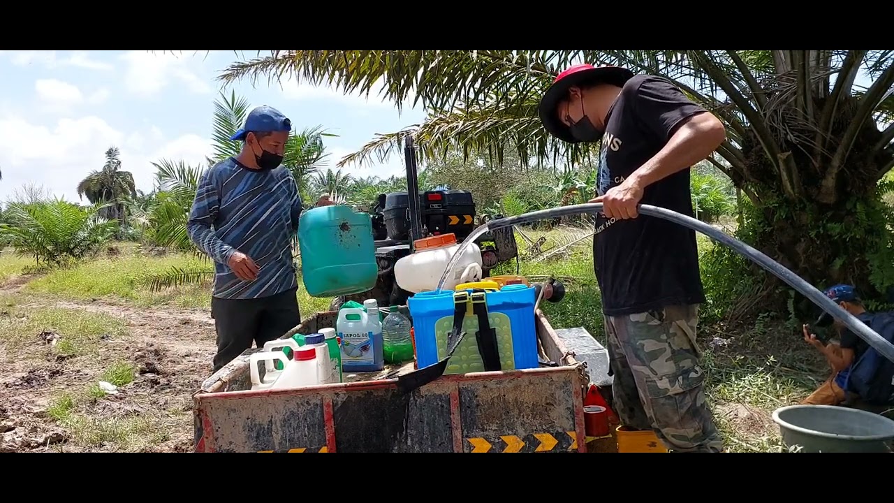 meracun rumput di kebun sawit atv tarik kereta - YouTube