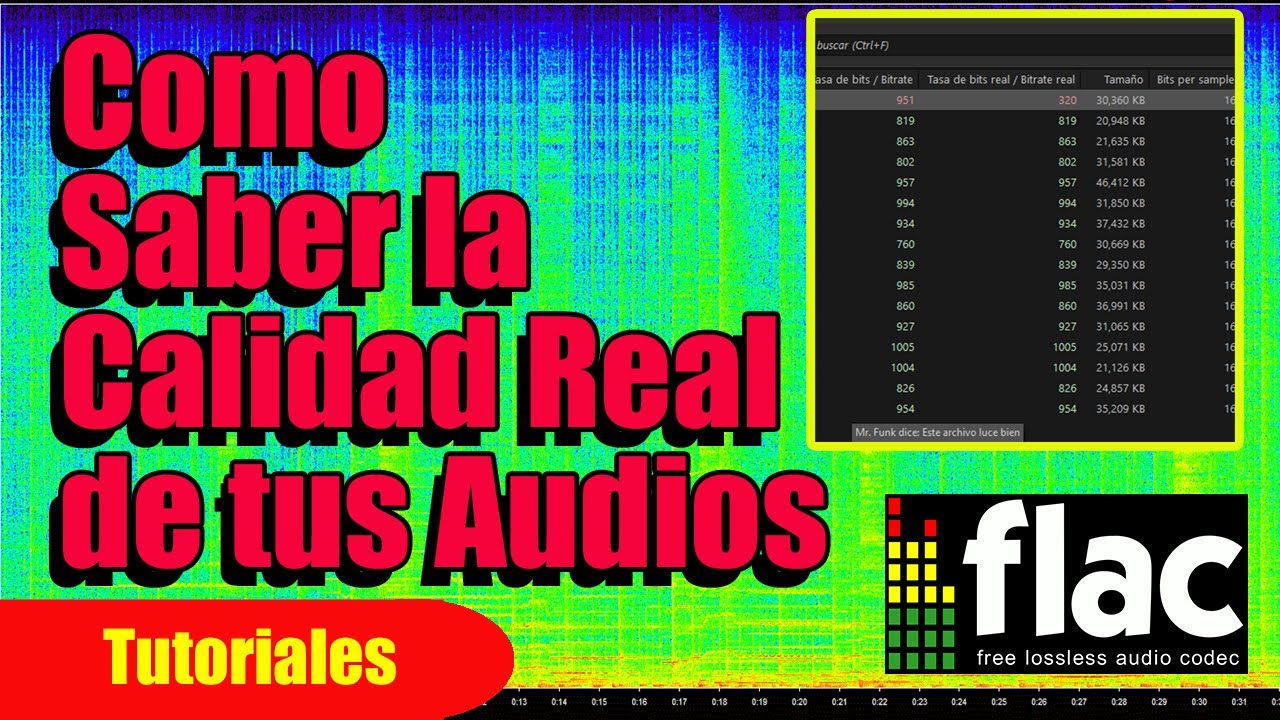Cómo Conocer la Calidad Real de un Archivo de Audio - FLAC MP3 WAV y ...