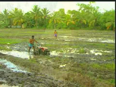 BOC Theme Song - YouTube