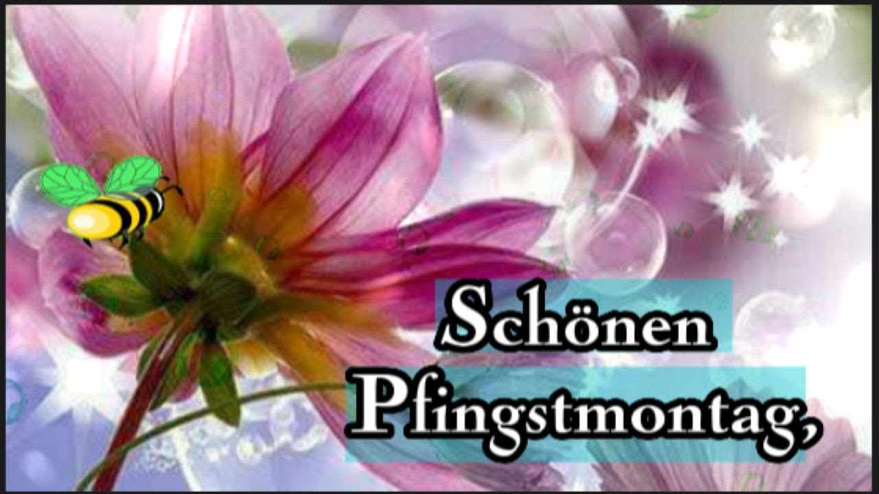 Schönen Pfingstmontag🌹🦋 Pfingstgüße - YouTube