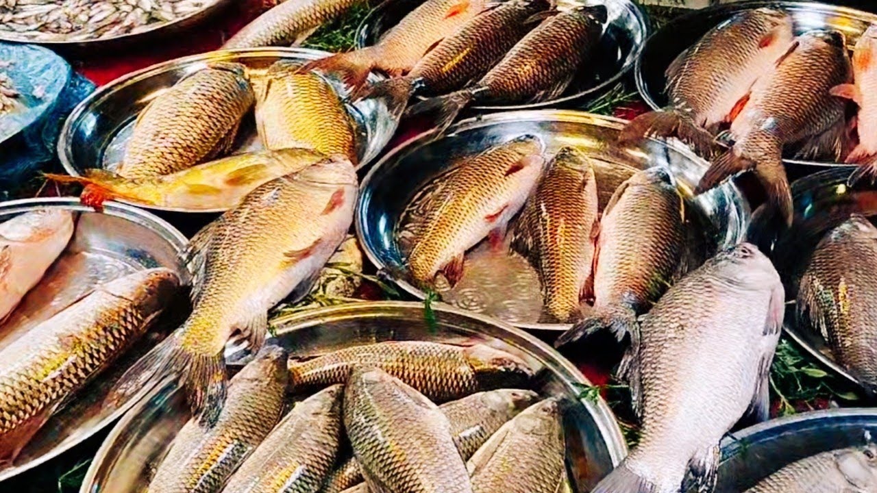 Fresh Fish Market in Dhaka || Amazing Fish Market || Fish Market ...