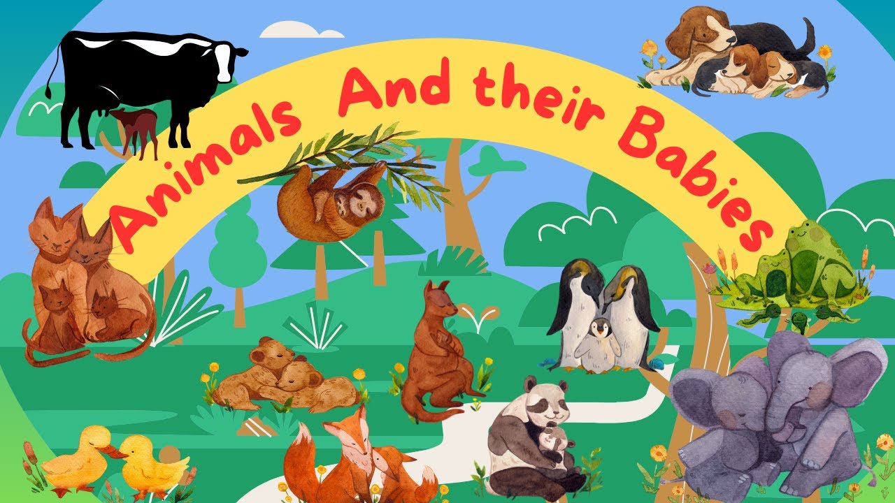 Animals and their babies | Animals and their young ones | Duck Duckling ...