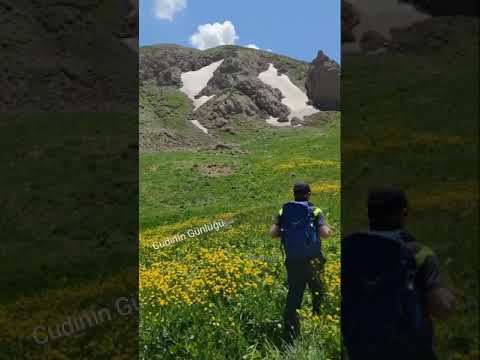 7 Haziran 2020