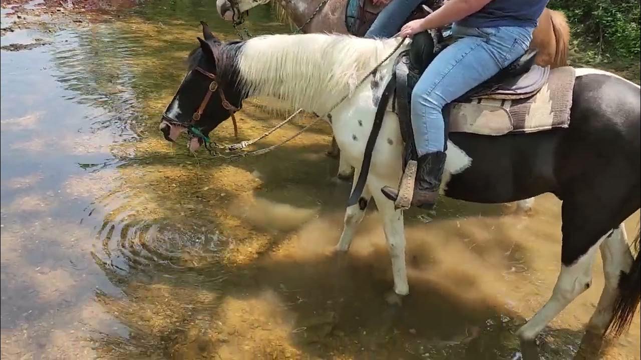 Kcvers RS Ranch Trail Ride 3 June 2023 - YouTube