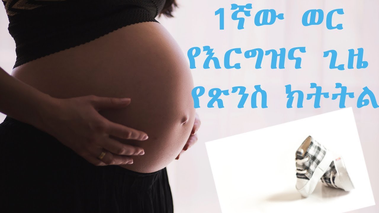 1 1 One Month Pregnancy YouTube 1-1-one-month-pregnancy-youtube
