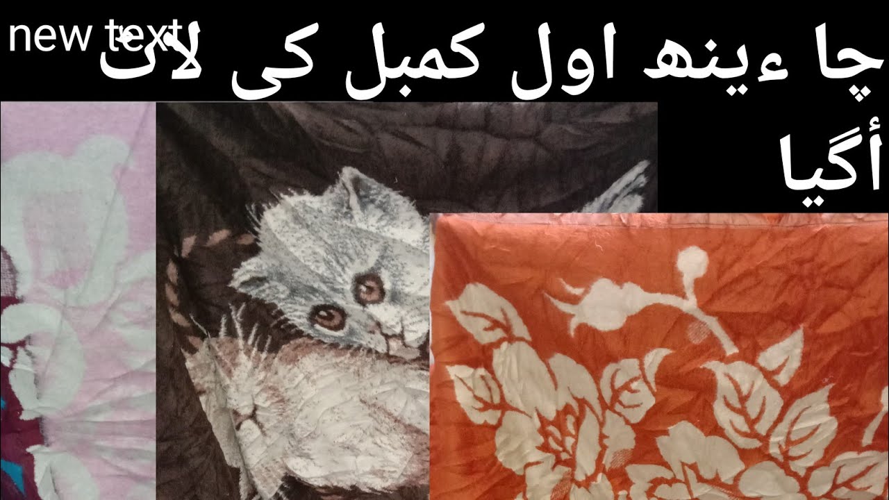 For Sell China Wool Kambol Ki lot Single Double 100 piece lot price 280 ...