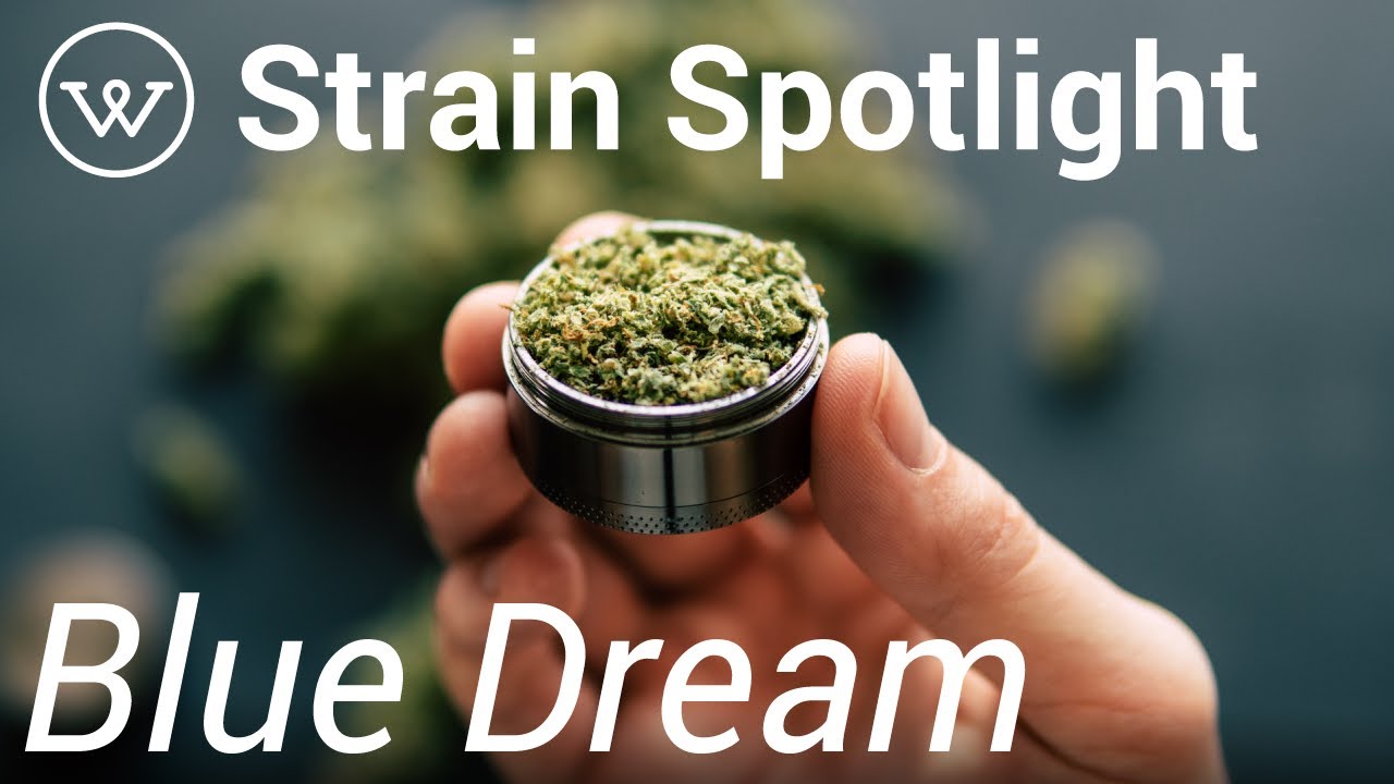 Blue Dream | Strain Spotlight - YouTube