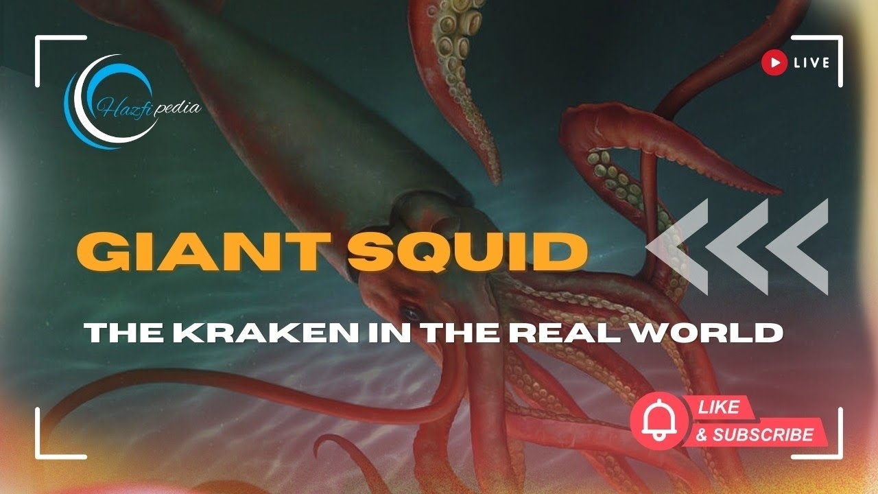 Giant Squid : the Kraken in the Real World - Page 8 - YouTube