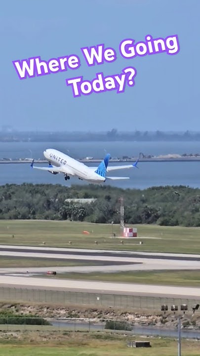 If You Could Go Anywhere in the World...Where Are You Going? #shorts # ...