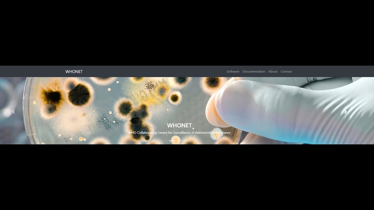 Whonet 2020 Instalación Descarga - YouTube