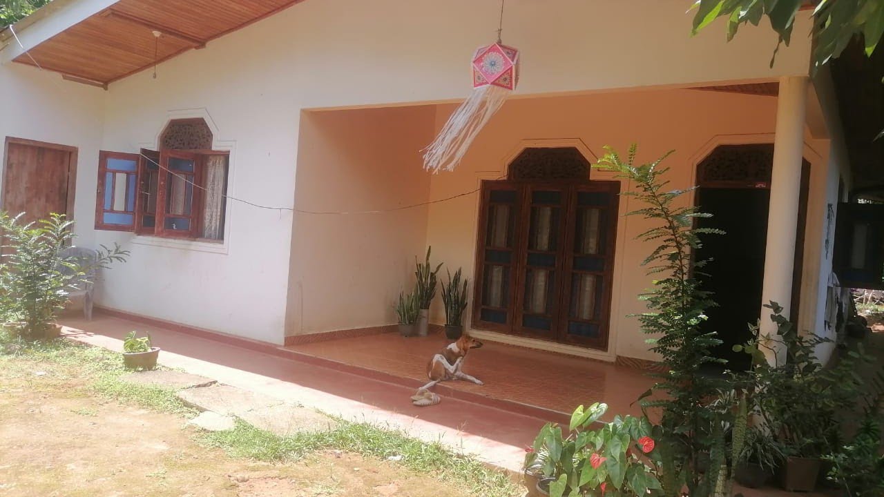 ගම්පොළ gelioya| 25.5 purchase | 95 lakes | ගම්පොළ town 8 km | kandy ...