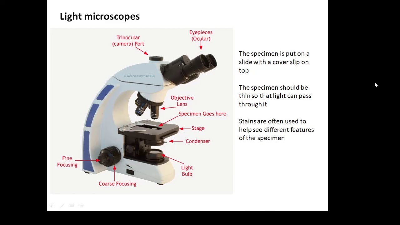 BTEC Applied Science: Unit 1 Biology Microscopes - YouTube