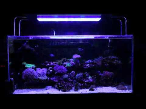 Zetlight 6600 Demo - YouTube