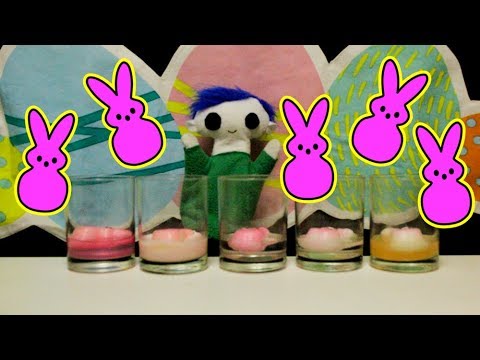 Dissolving Peeps Science Experiment | Science for Kids - YouTube