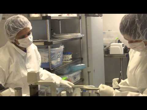 Producing Viral Vectors for Clinical Trials With On-Site Clinical ...