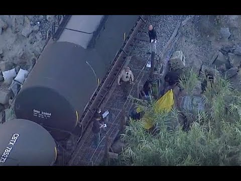 Two dead after being hit by train trying to free trapped dog from ...